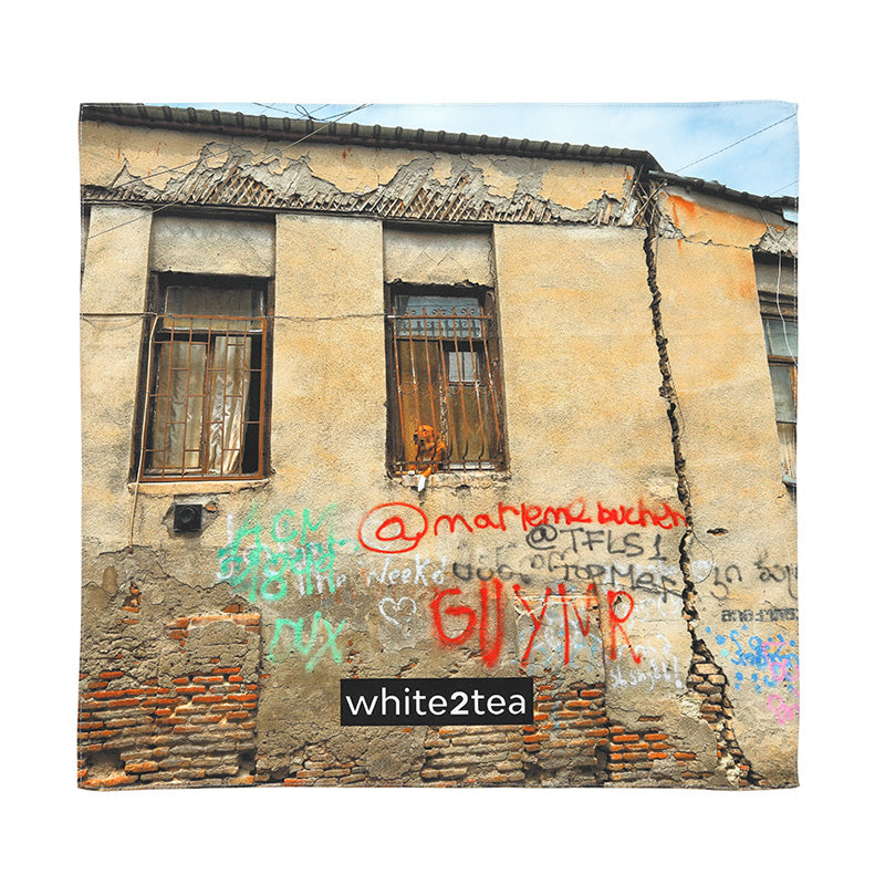 GuyMr Chabu – white2tea