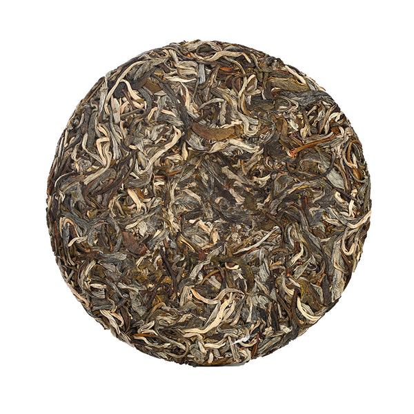 2022 Moon Bear $7.25 USD white2tea | white2tea